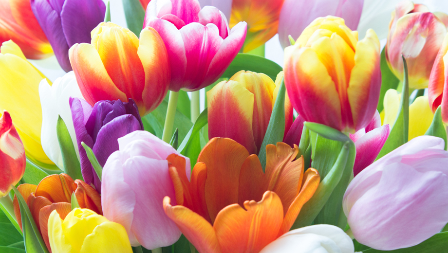 Flower Theatre Florist Scunthorpe Order Online 01724 764444